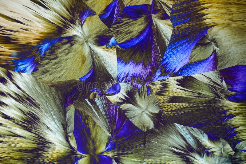 Colorful Micro Crystals in Polarized Light. Photo through a Microscope ...