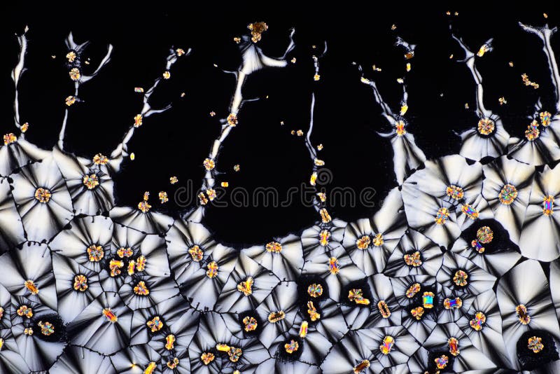 Colorful Micro Crystals in Polarized Light. Photo through a Microscope ...