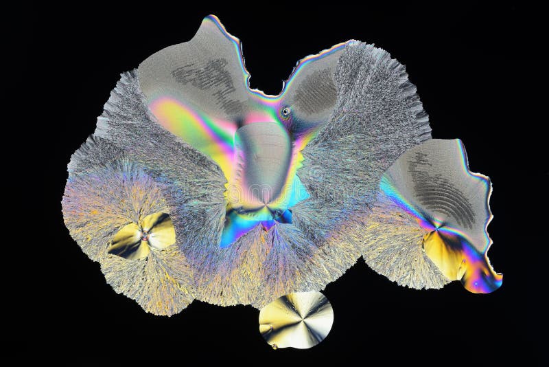 Colorful Micro Crystals in Polarized Light. Photo through a Microscope ...