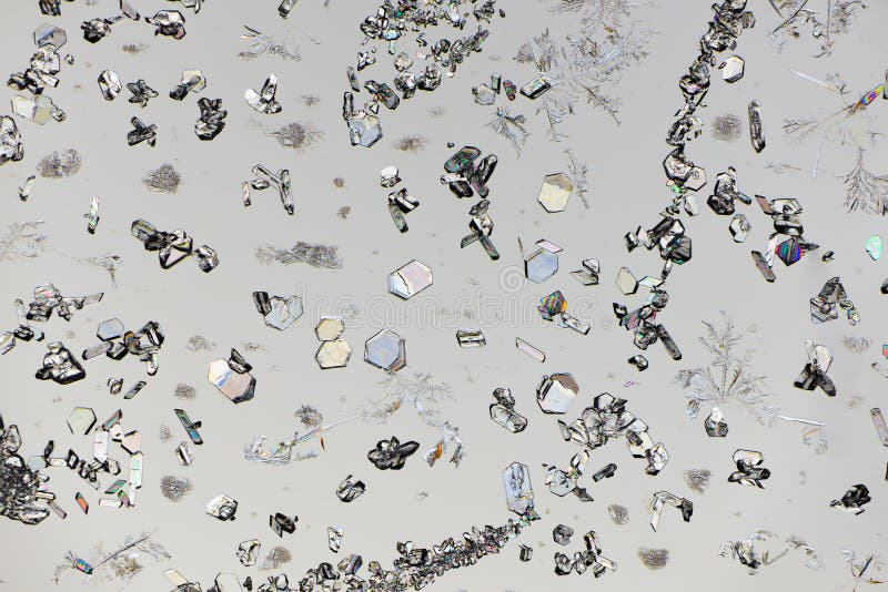 Colorful Micro Crystals in Polarized Light. Photo through a Microscope ...