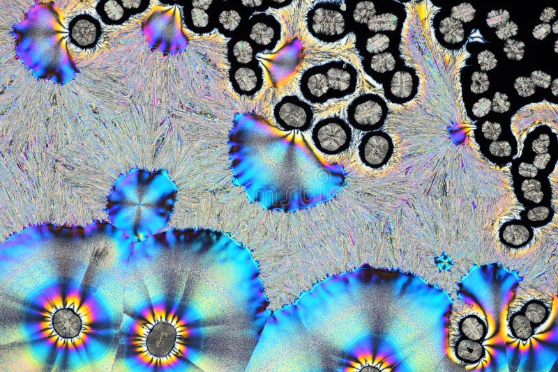 Colorful Micro Crystals in Polarized Light. Photo through a Microscope ...