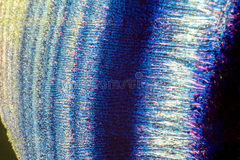 Colorful microcrystals stock image. Image of crystals - 84661739
