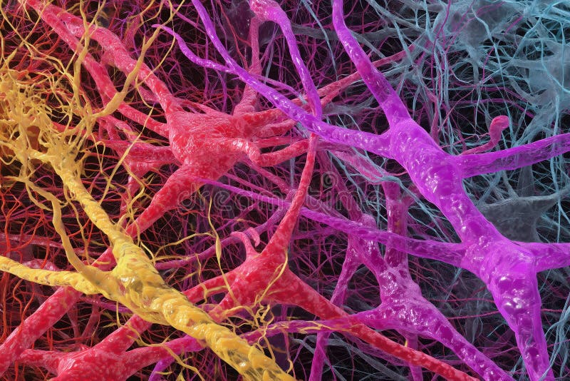 Colorful Microscopic Neural Network Stock Illustration - Illustration ...