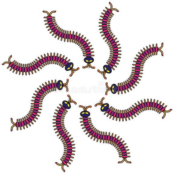 Millipede Convention Stock Illustrations – 1 Millipede Convention Stock ...