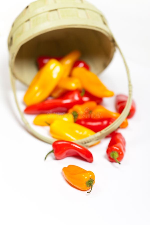 Colorful mini peppers stock photo. Image of ingredient - 30497182