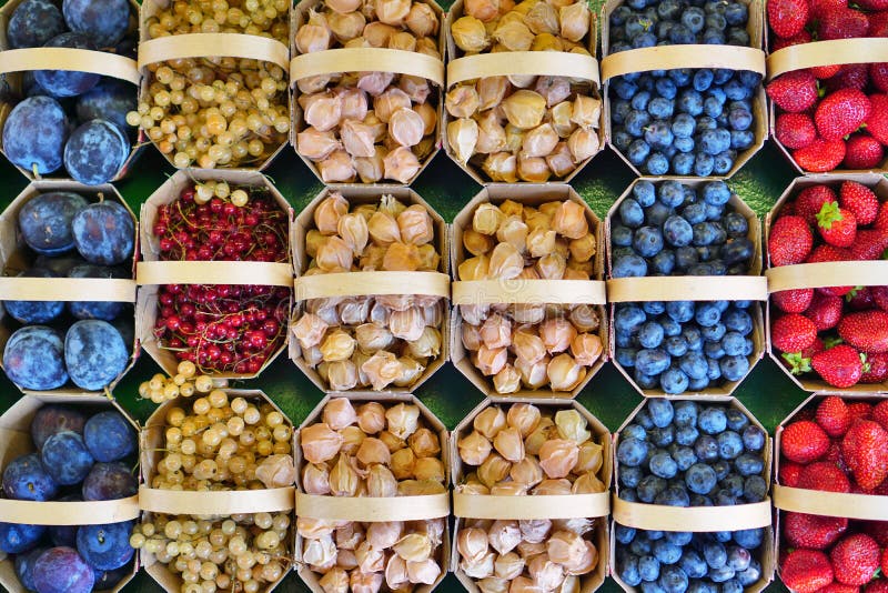 Colorful Mixed Berries in Containers at the Market Stock Image - Image ...