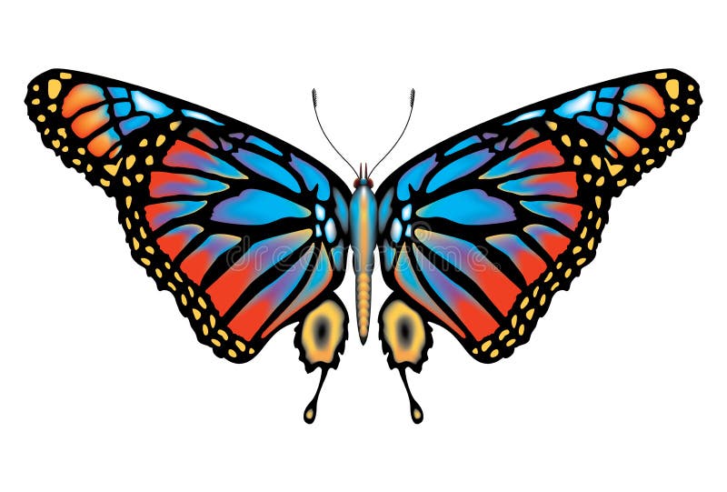 Colorful Monarch Butterfly Isolated Stock Vector Illustration Of Clip