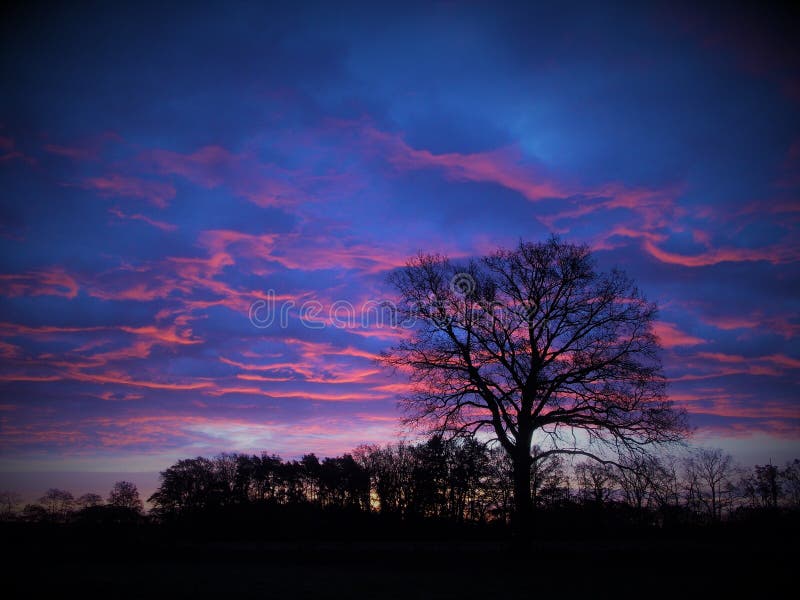 A Colorful Morning Sky with a Tree Stock Image - Image of morning, tree ...