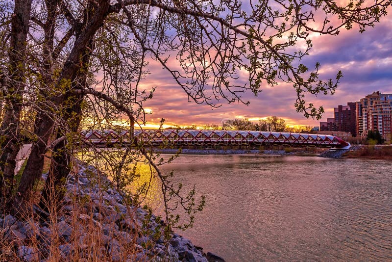 Warm Morning Sunrise Over the Peace Bridge Editorial Stock Photo ...