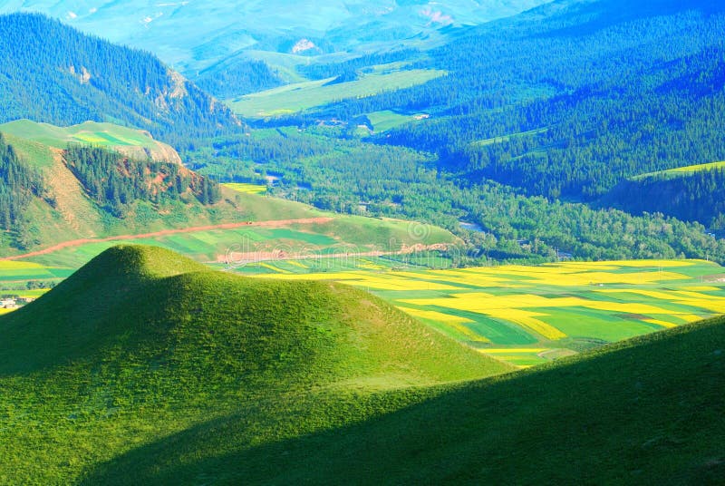 Colorful Mountain Landscape Stock Image - Image of meadow, environment ...