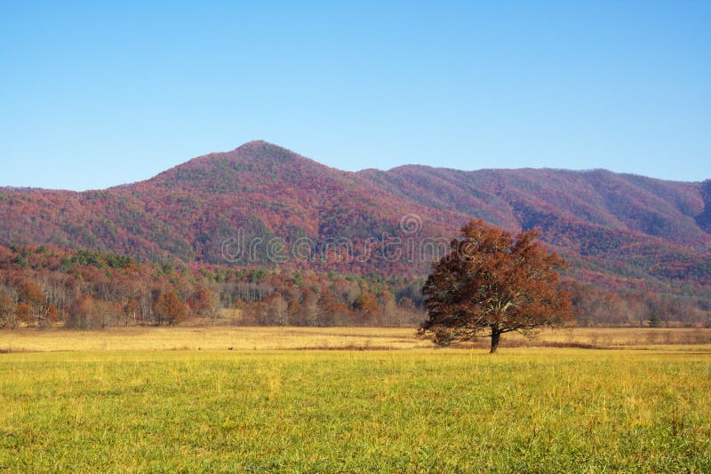 Colorful Mountain Landscapes in Fall Stock Photo - Image of trees, fall ...