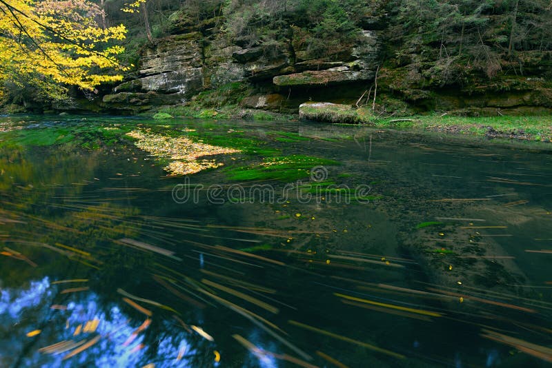 Colorful Mountain Stream with Cascades in the Forest Stock Photo ...