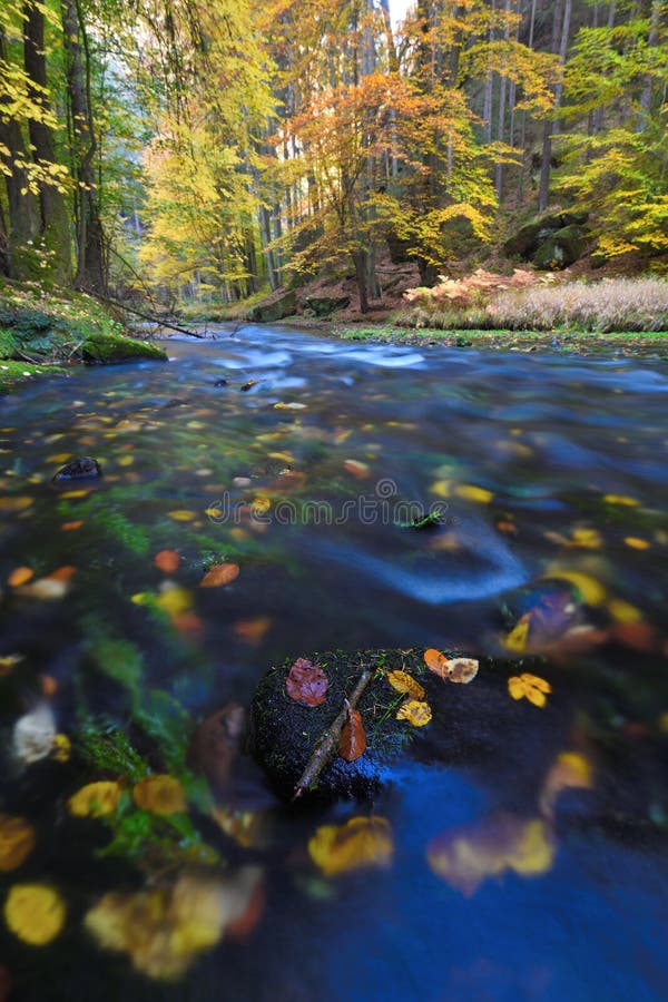 Colorful Mountain Stream with Cascades in the Forest Stock Image ...