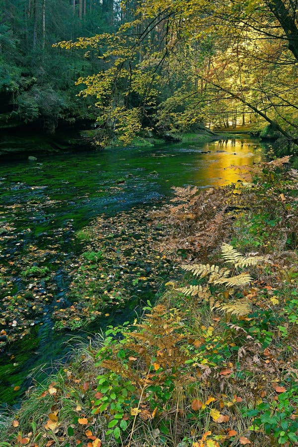 Colorful Mountain Stream with Cascades in the Forest Stock Image ...