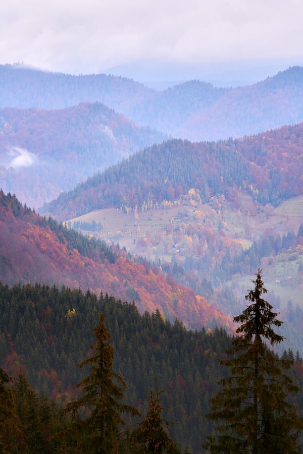 Colorful Mountains Covered in Forest Stock Photo - Image of green, hill ...