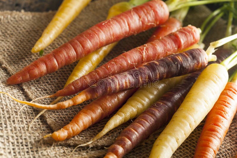 Colorful Multi Colored Raw Carrots Stock Photo - Image of rustic, green ...
