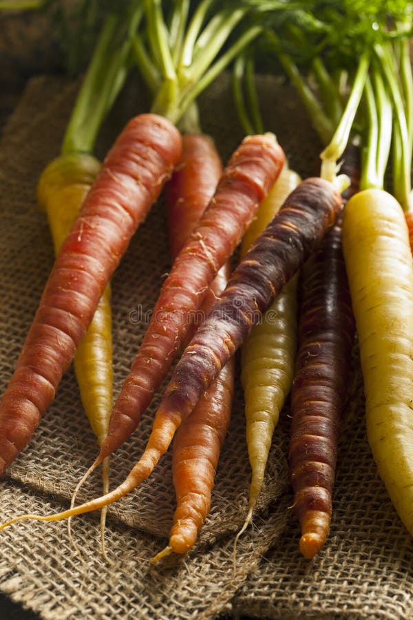 Colorful Multi Colored Raw Carrots Stock Image - Image of dieting ...
