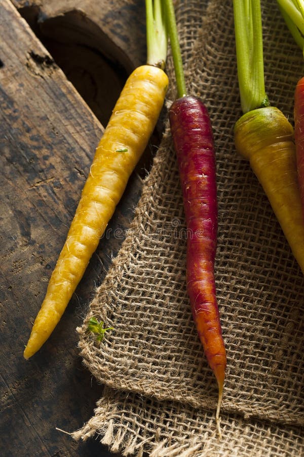 Colorful Multi Colored Raw Carrots Stock Photo - Image of colored ...