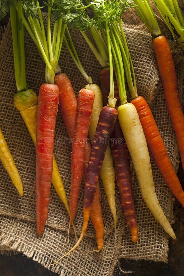Colorful Multi Colored Raw Carrots Stock Image - Image of diet, bright ...