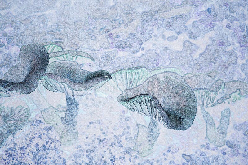 Life form stock photo. Image of wildlife, environment - 357126388