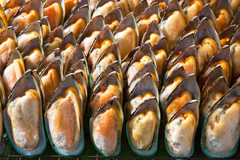 Bake Mussels with Salt in Open Shells. Stock Image - Image of pastry ...