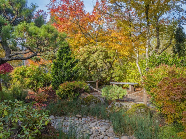 Colorful Nature in a Park Oregon State Stock Photo - Image of flora ...