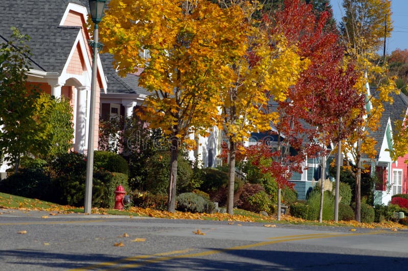 Colorful neighborhood stock image. Image of exterior, estate - 7800241