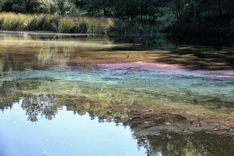 Colorful Oil Pollution on the Water Stock Photo - Image of lake, green ...