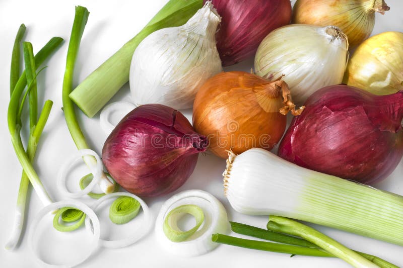 Colorful onions stock photo. Image of onion, leek, isolated - 9444292
