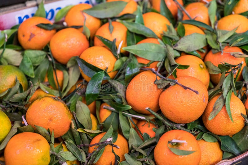 Colorful Oranges on the Fruit Stand in Local Market Stock Photo - Image ...