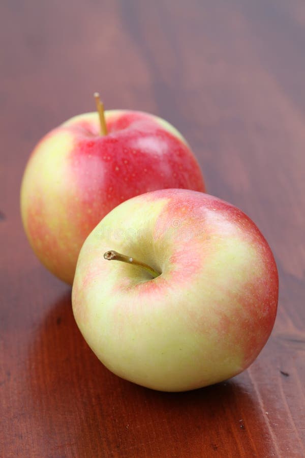 Colorful organic apples stock photo. Image of fruit, apple - 16076608
