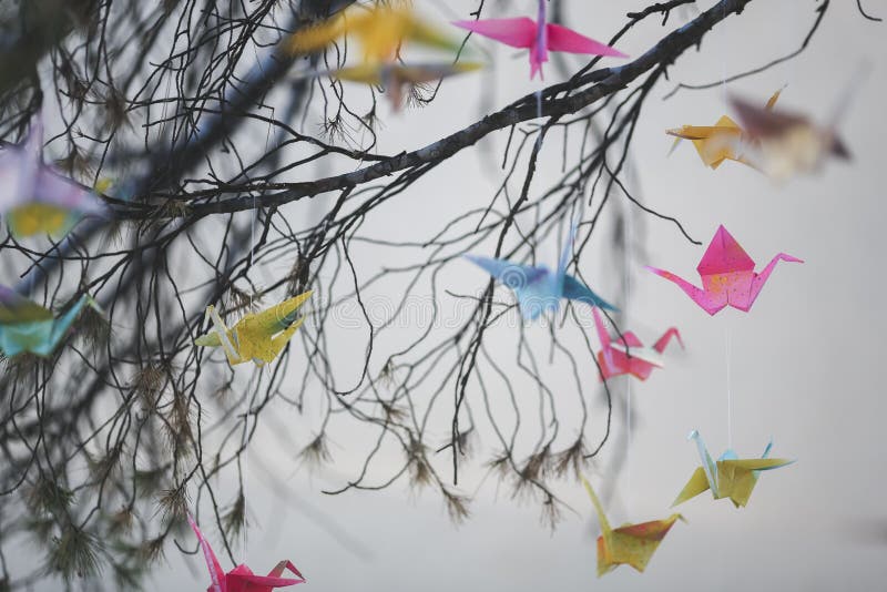 Colorful origami cranes stock photo. Image of decorative - 52551830