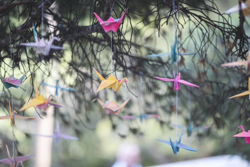 Colorful origami cranes stock photo. Image of craft, colorful - 52551858