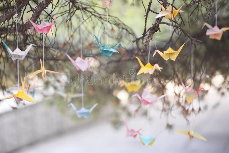 Colorful origami cranes stock image. Image of bird, asia - 52551895