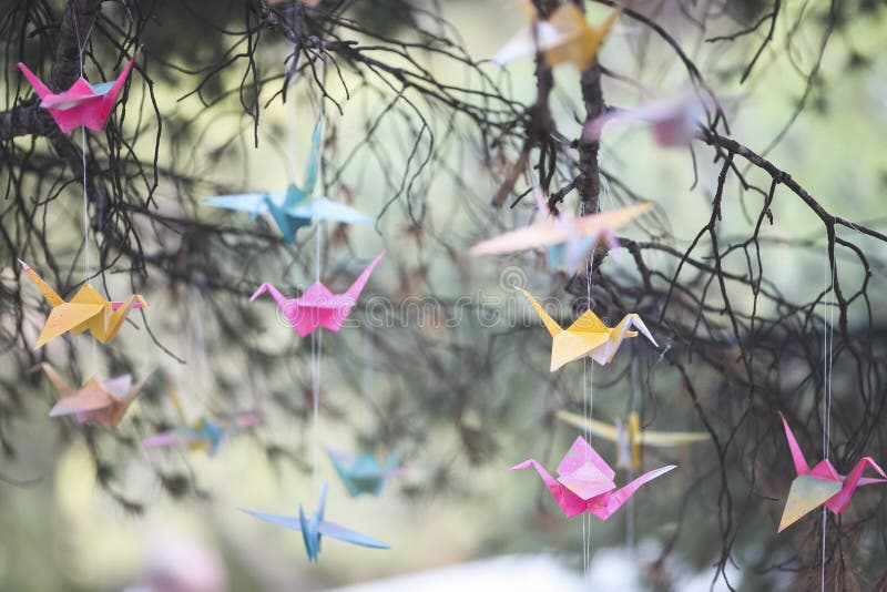 Colorful origami cranes stock photo. Image of hope, origami - 52551962