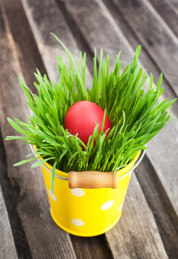 Colorful Painted Easter Egg on a Fresh Green Grass Stock Photo - Image ...