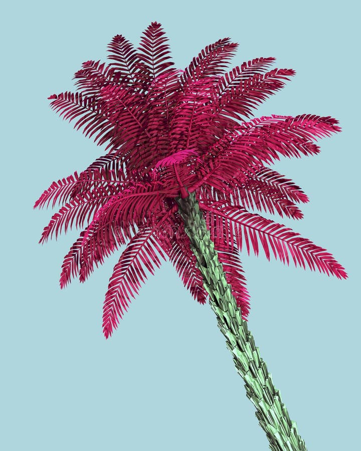 Colorful Palm Tree Illustration Stock Photo - Image of tropic, paradise ...