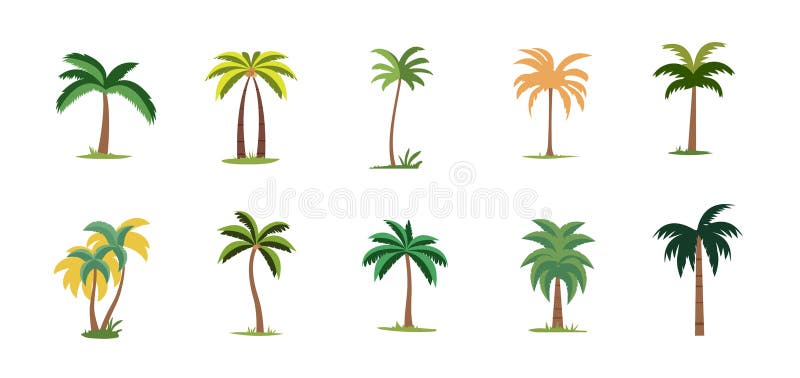 Colorful Palm Trees Set, Cartoon Flat Illustration Vector Stock Vector ...