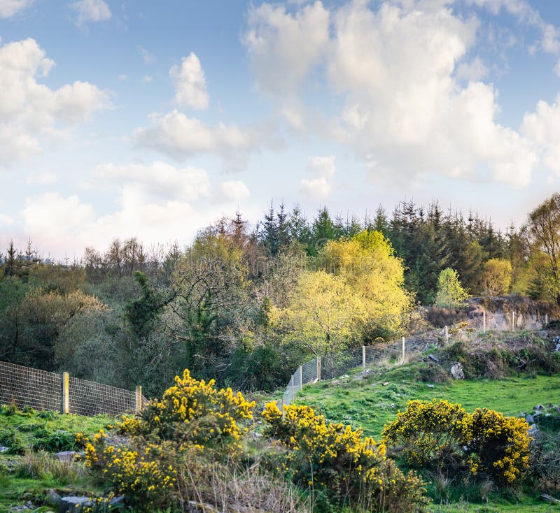 Colorful Panoramic Landscape in Spring Stock Image - Image of scenery ...