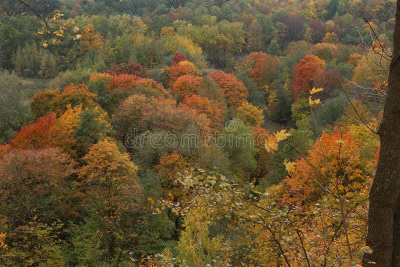 Colorful Panoramic View of Autumn Foliage. Stock Photo - Image of ...