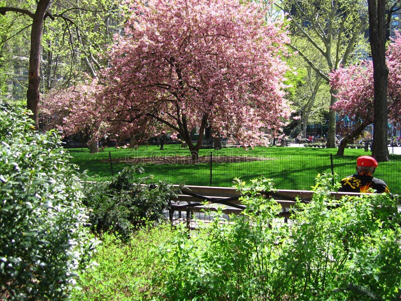 Colorful park stock image. Image of happy, plant, sitting - 809835