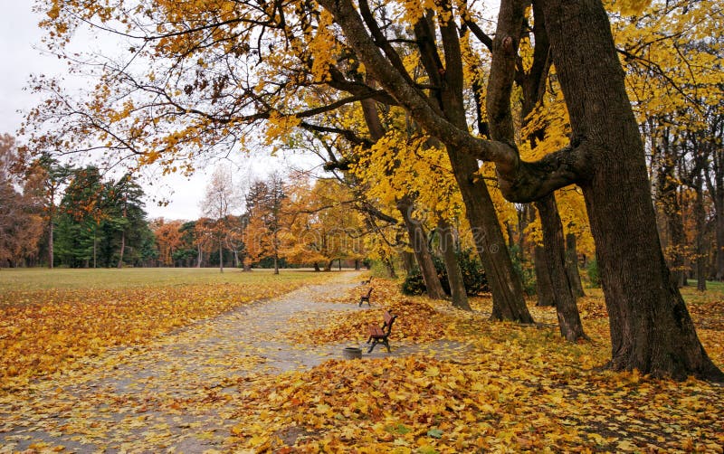 Colorful park during fall stock image. Image of foliage - 11671171