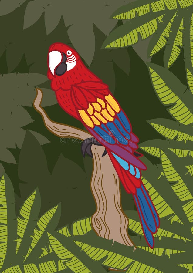 Colorful Parrot - Freehand Drawing Stock Vector - Illustration of ...