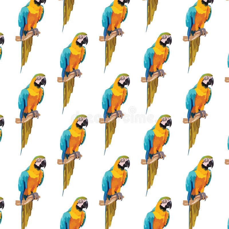 Colorful parrot pattern stock vector. Illustration of cute - 75795061