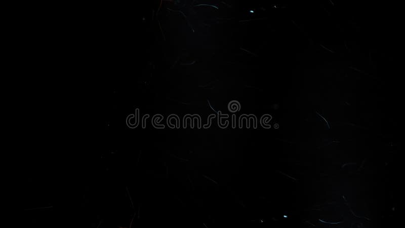 Colorful Particles on Black Background Stock Footage - Video of bokeh ...