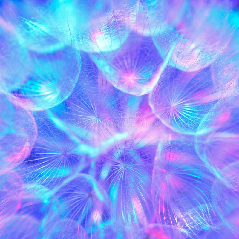 Colorful Pastel Background - Vivid Abstract Dandelion Flower Stock ... Colorful Pastel Background - Vivid Abstract Dandelion Flower Stock ...