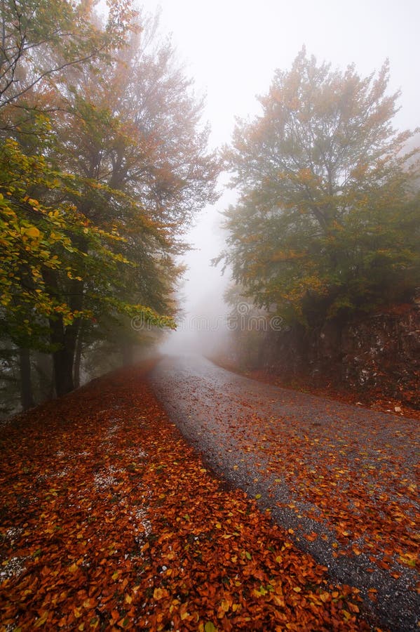 Colorful path stock image. Image of peace, autumn, orange - 35308445