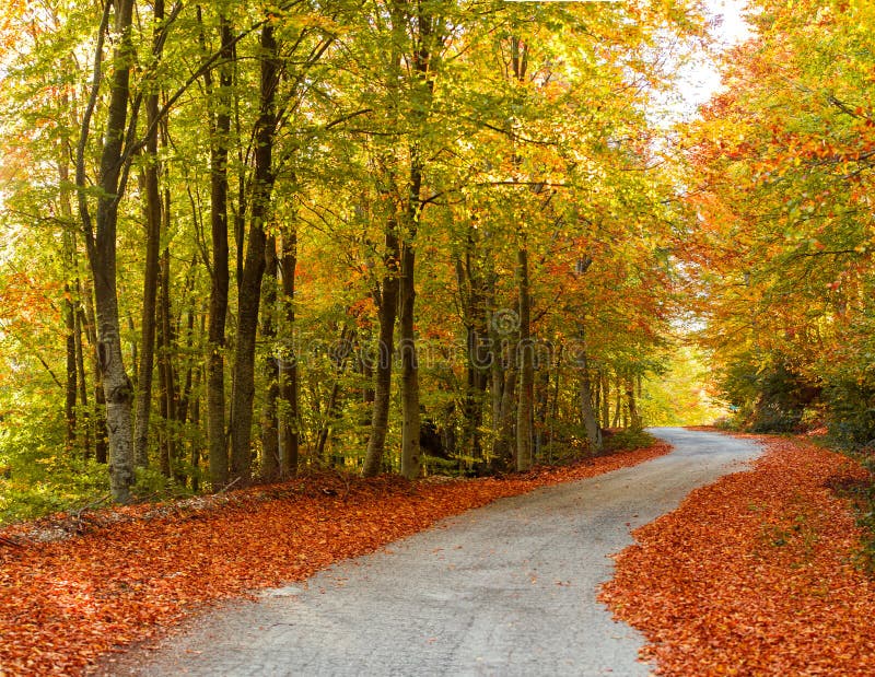 Color path stock image. Image of color, landscape, colorful - 21833959