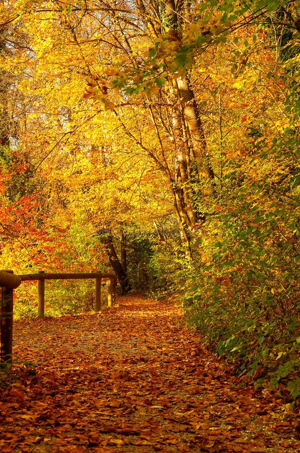 Colorful path stock photo. Image of beauty, lake, landscape - 34862506