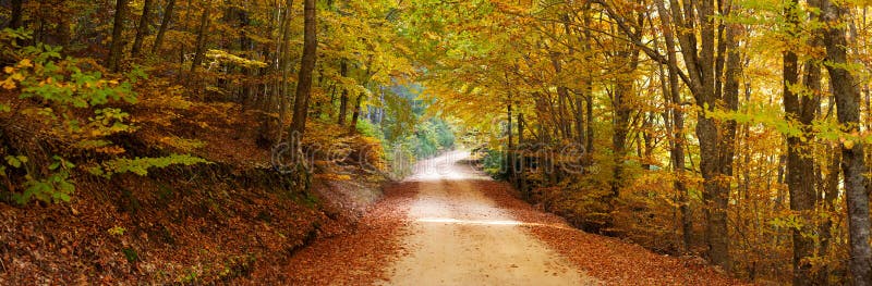 Colorful path panorama stock image. Image of lane, nature - 21963447